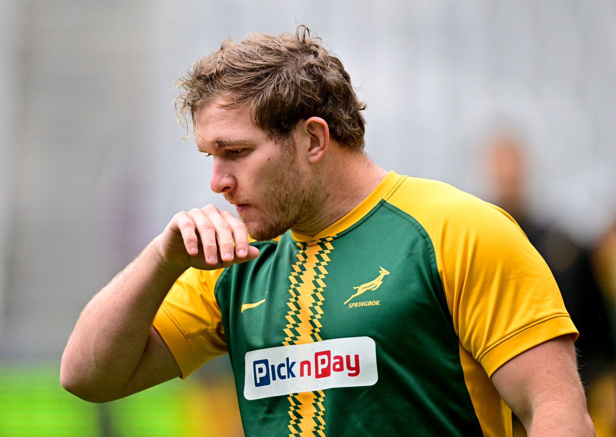 Springboks are Back! Everything you need to know
