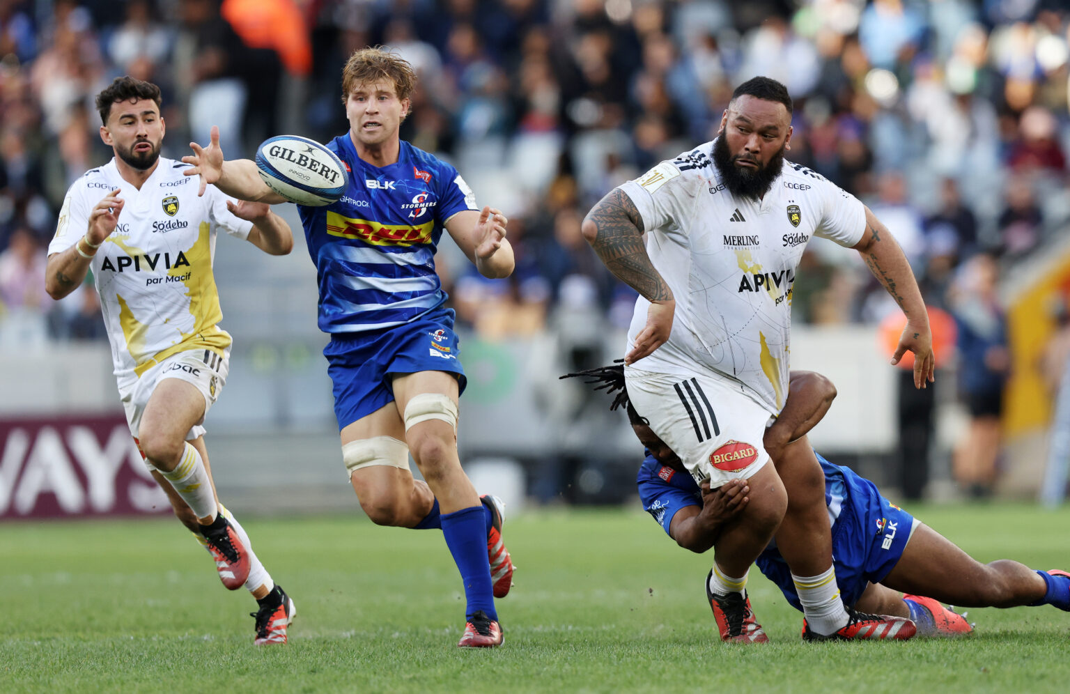 Markus Muller Rugby: Stormers Snap Up SA's Top Schoolboy Midfielder