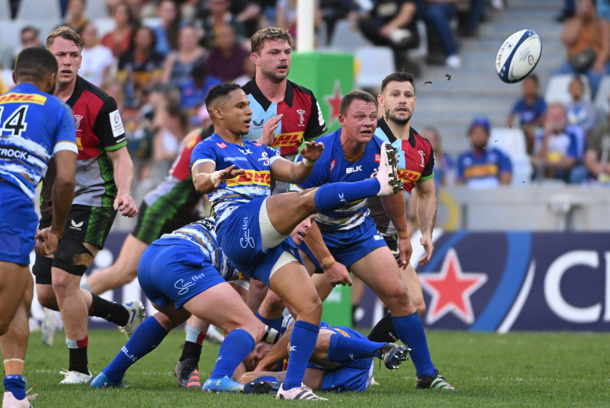 Bulls must win to stay alive in the Investec Champions Cup